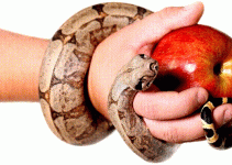 La lujuria - 7 pecados capitales - IGLESIA.INFO